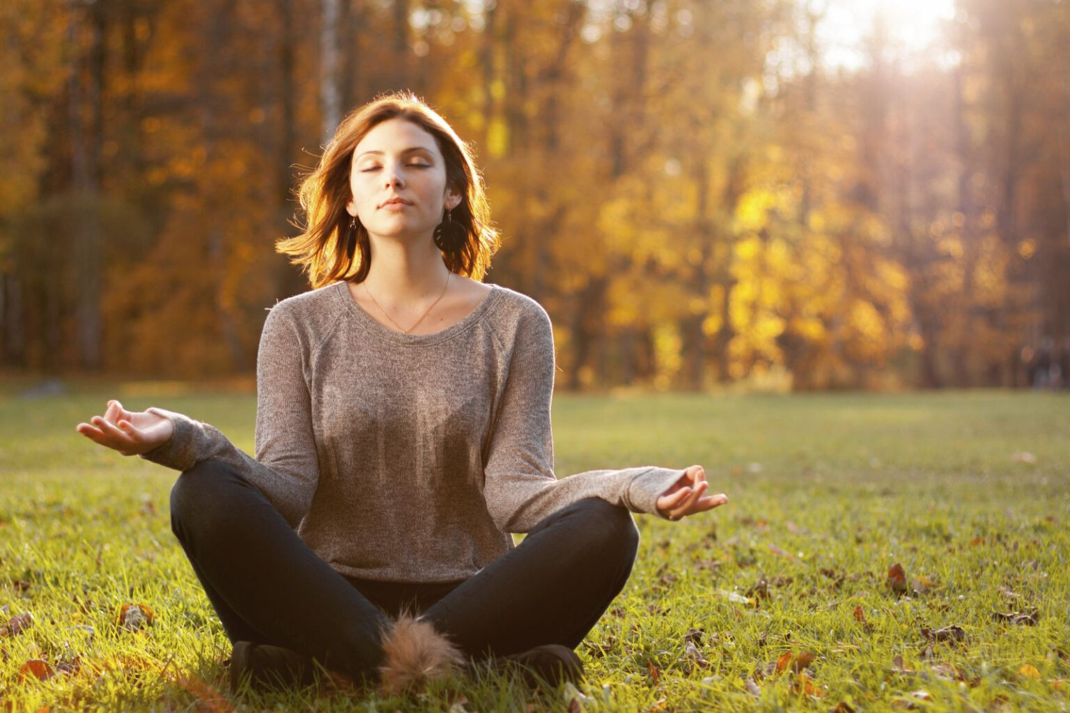Understanding Mindfulness-based Psychotherapy: A Guide To Its ...