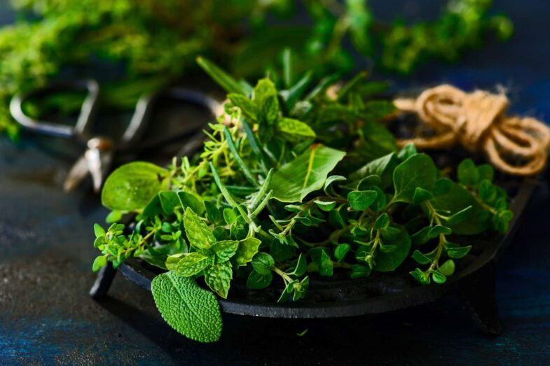Herbs in Demand: The Top Wholesale Herbs for Culinary and Medicinal Use ...
